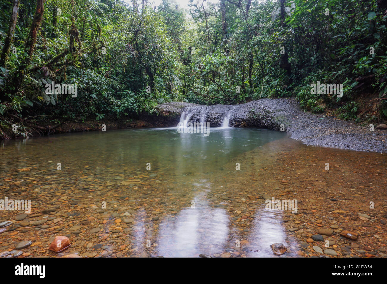 Amazonian rainforest stream. Photographed in Colombia Stock Photo - Alamy
