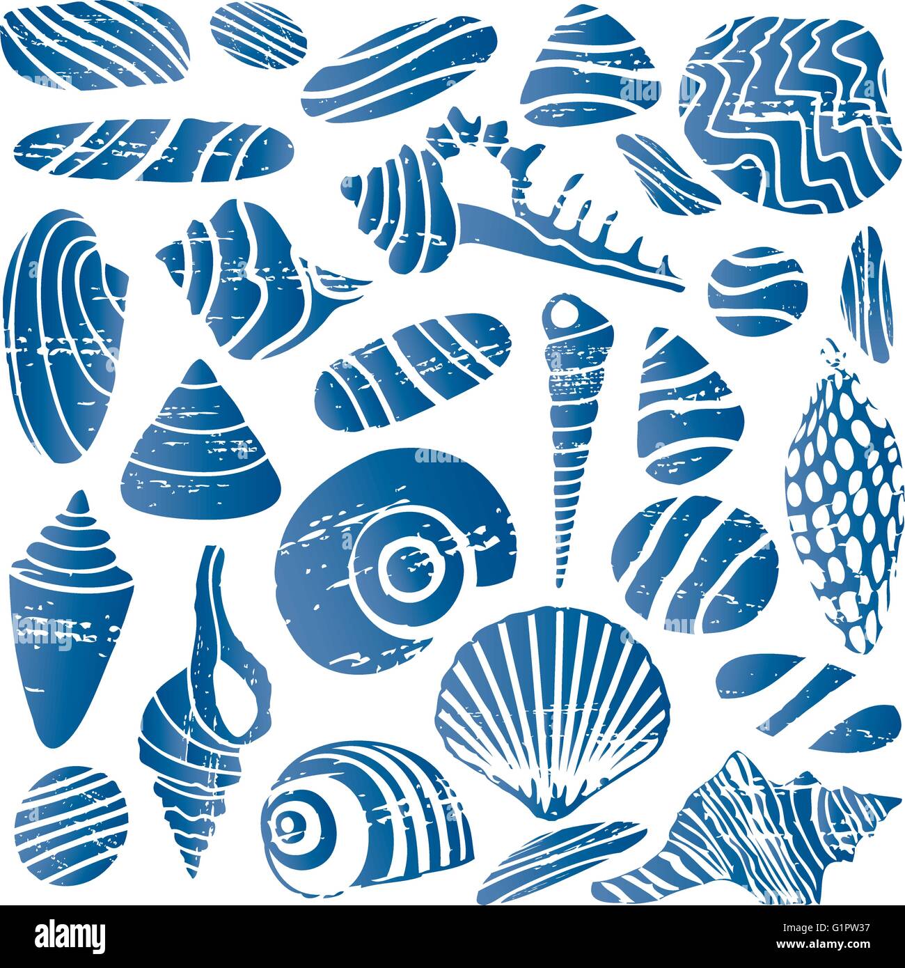 Seashell Vector