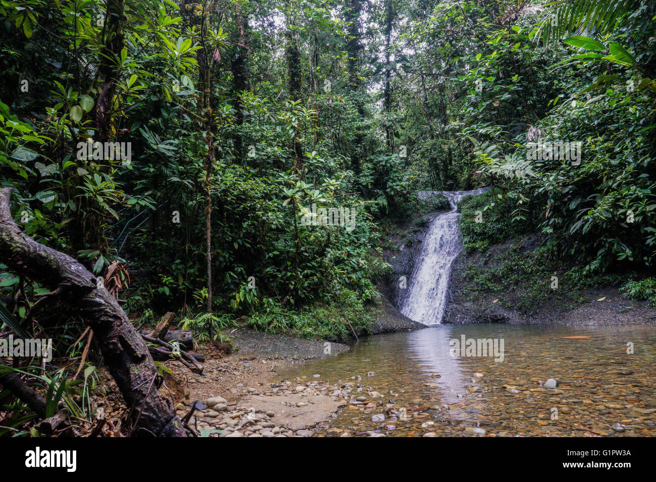 Amazonian Stock Photos & Amazonian Stock Images - Alamy