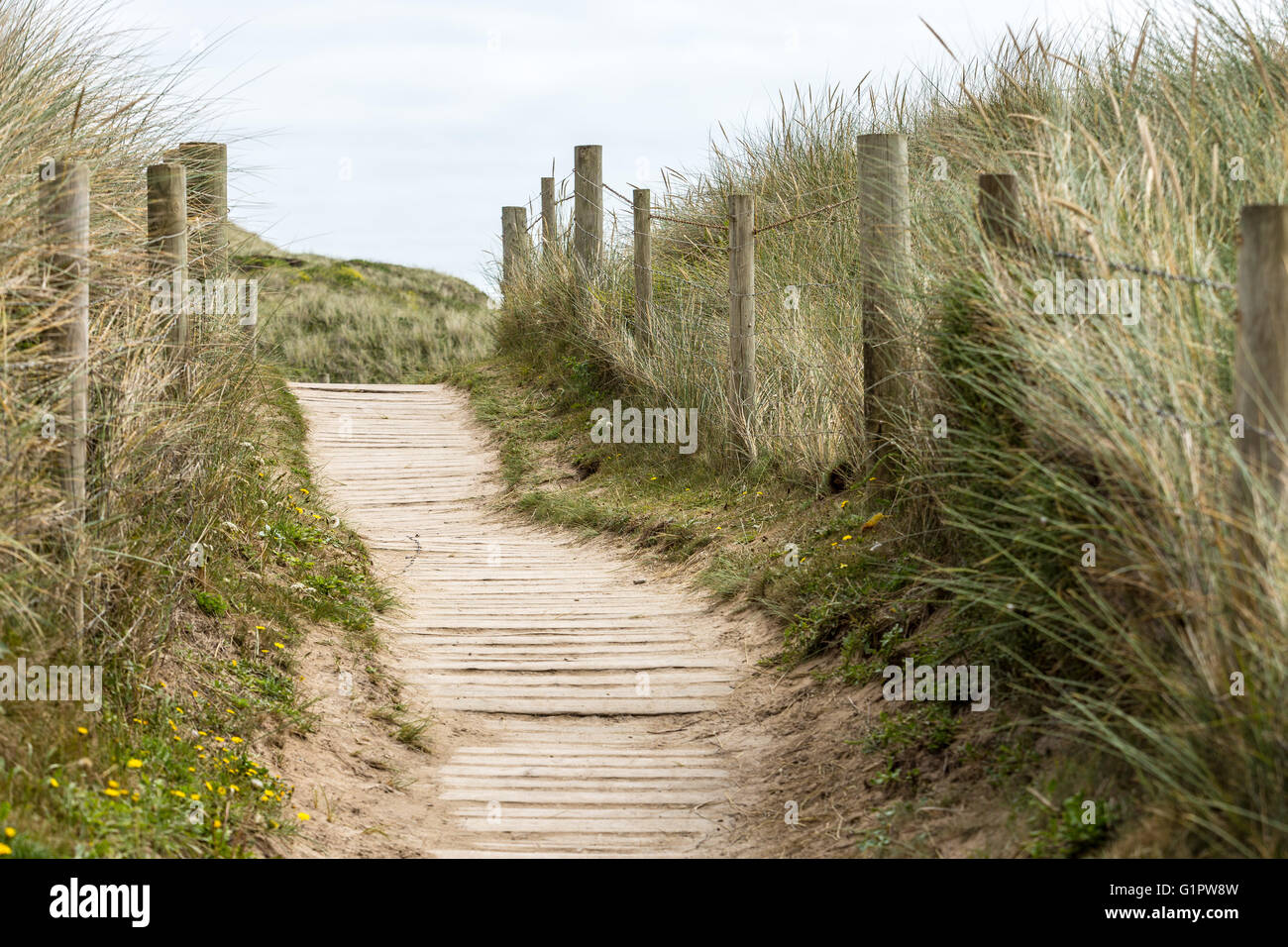 Pedestrian path leading to Godrevy Beach, Cornwall, UK Stock Photo - Alamy