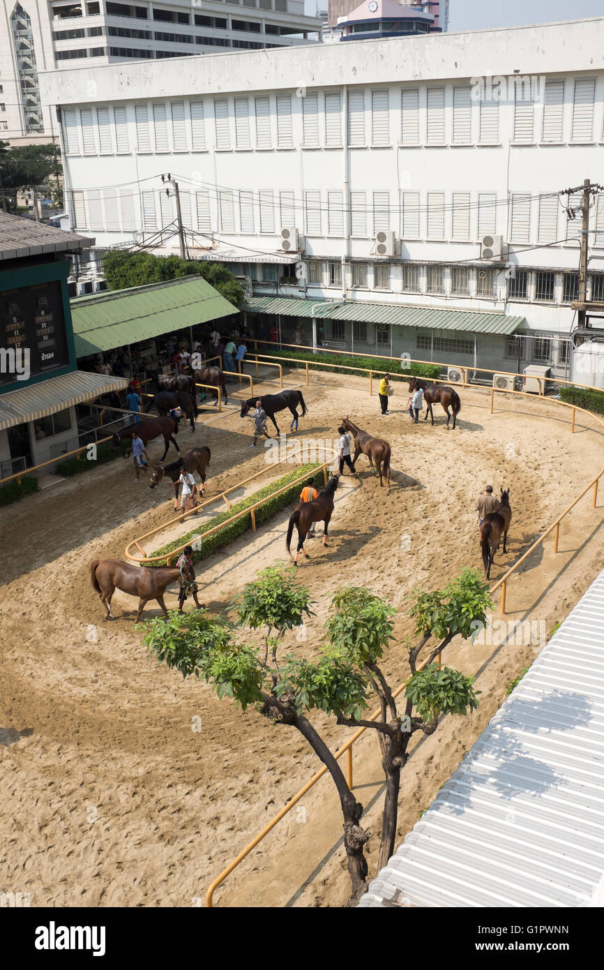 Horse Racing at the Royal Bangkok Sports Club in Bangkok Thailand Stock ...