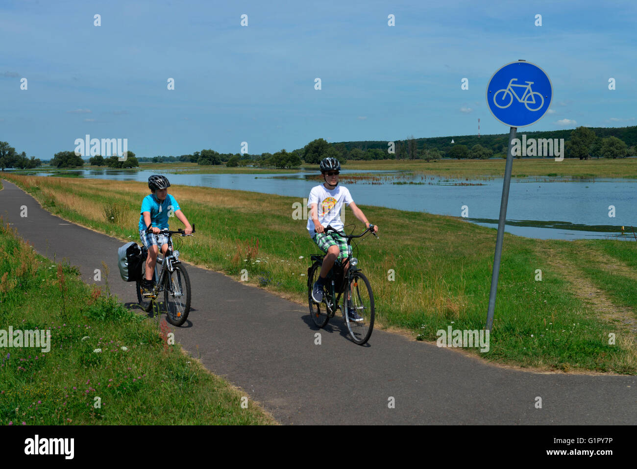 Oder cycleway, near Kustrin, Brandenburg, Germany / Küstrin Stock Photo ...