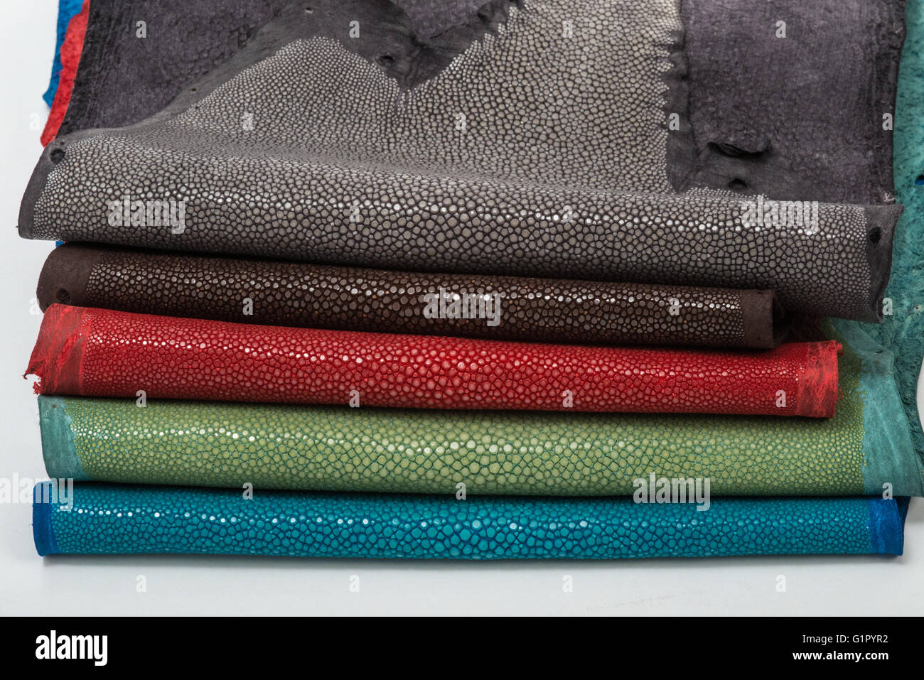 Stingray exotic leather, hide in five colours Stock Photo - Alamy