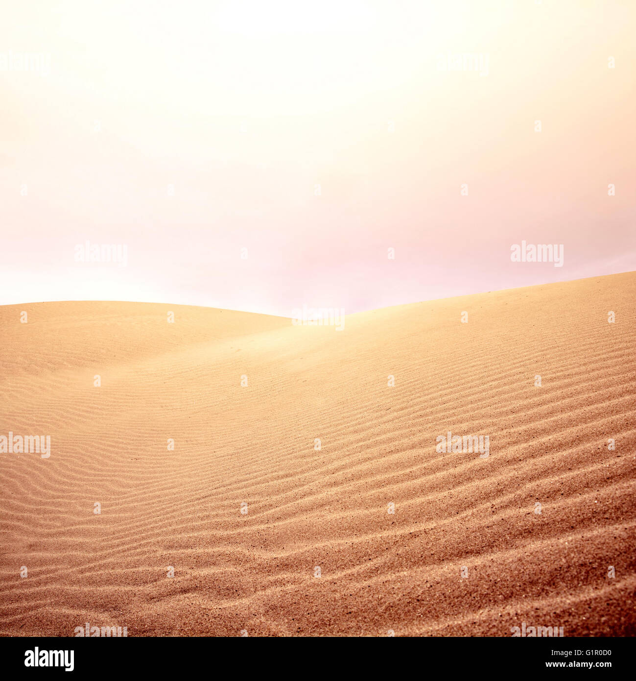 Hot and dry desert hi-res stock photography and images - Alamy