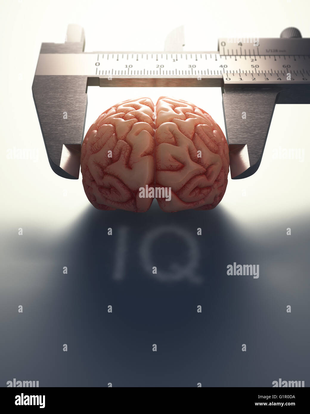 3D image concept of a caliper ruler measuring a human brain. It is a ...