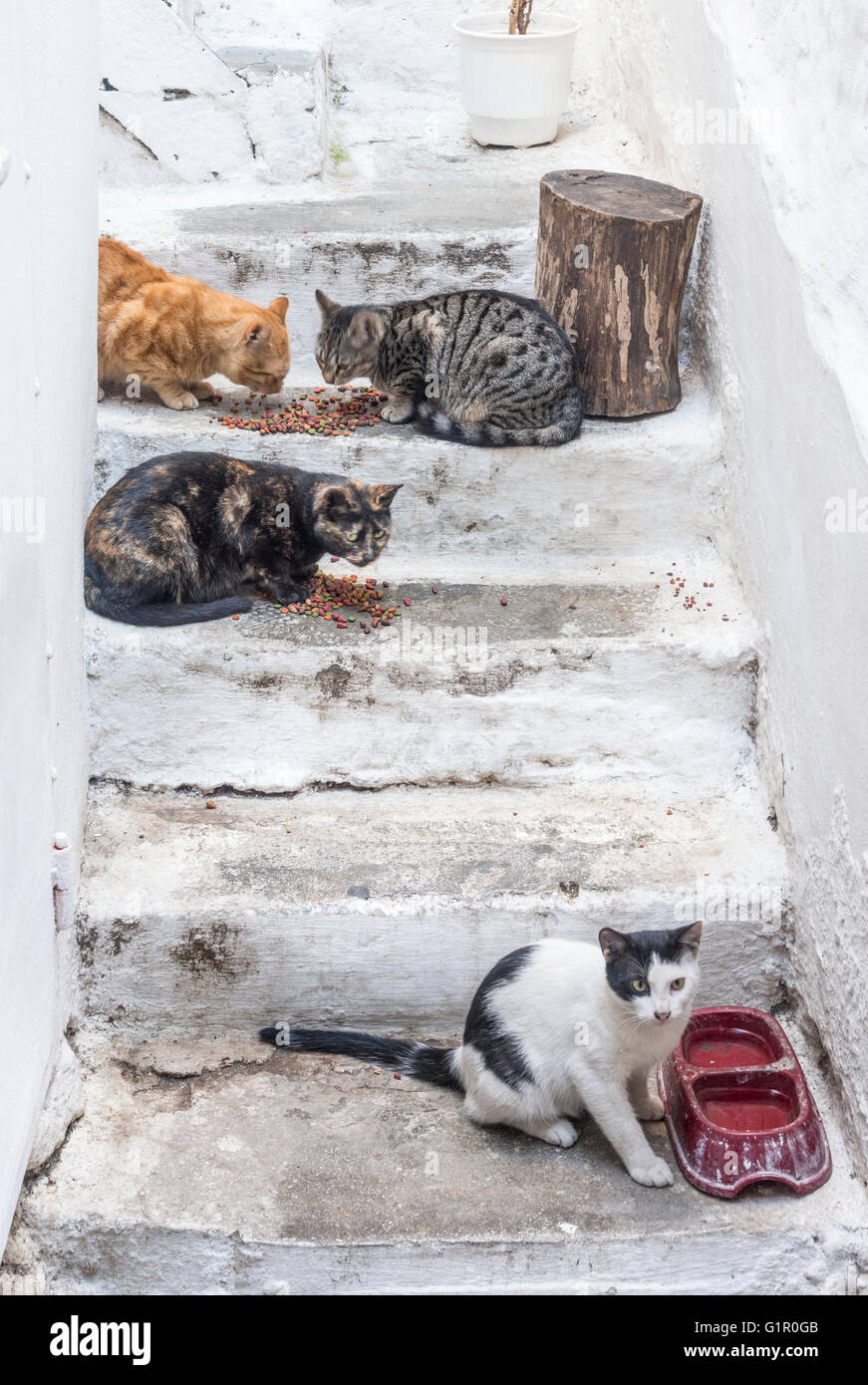 Atika hi-res stock photography and images - Alamy