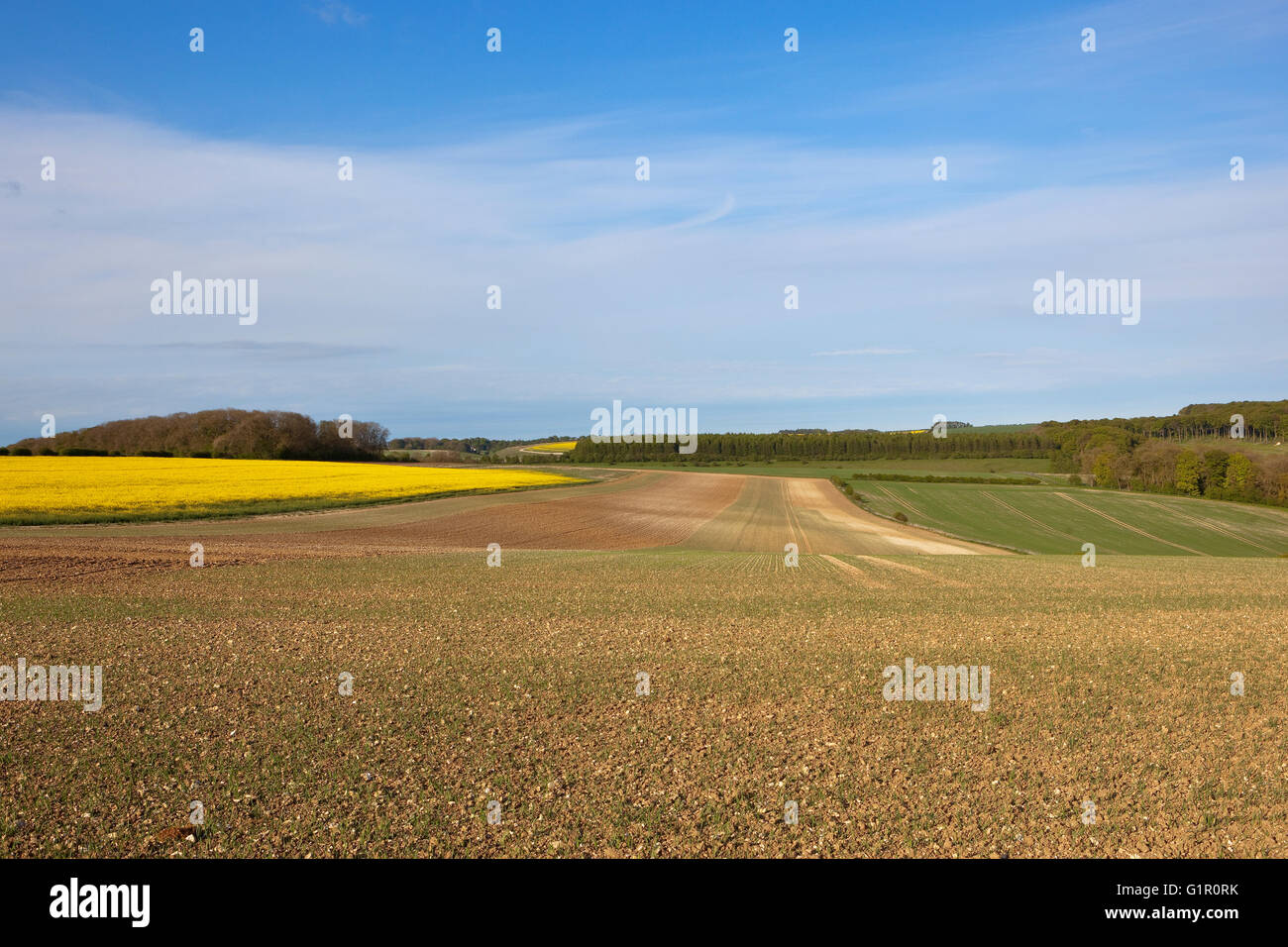 Patchwork arable landscape of the Yorkshire wolds in springtime Stock ...