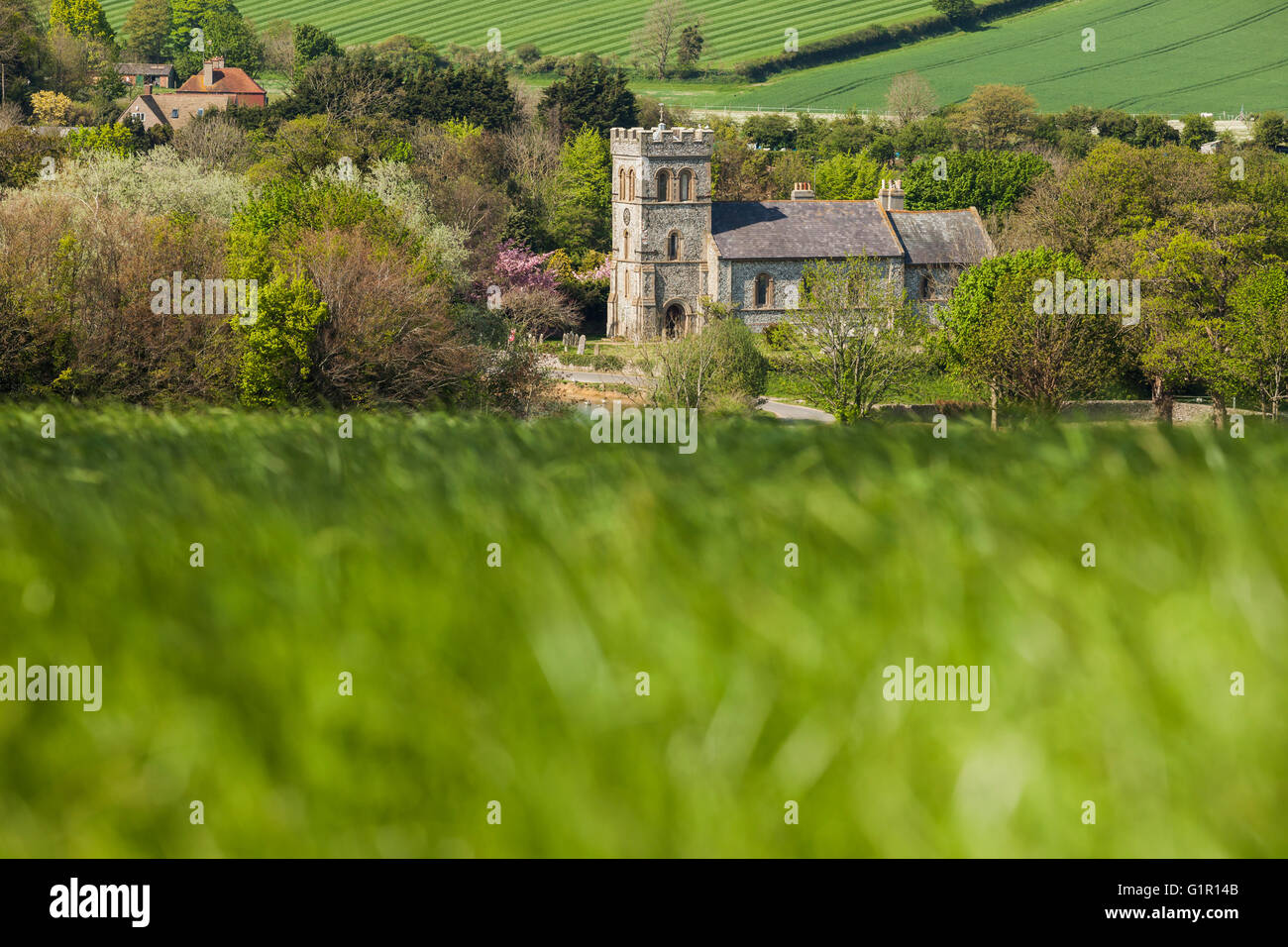 Falmer village hi-res stock photography and images - Alamy