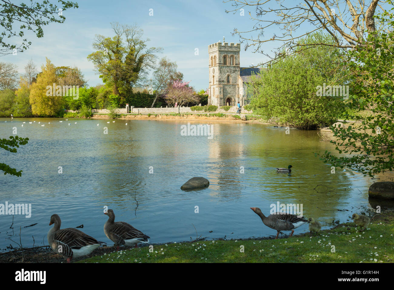 St Laurence church in Falmer, East Sussex, England. South Downs ...