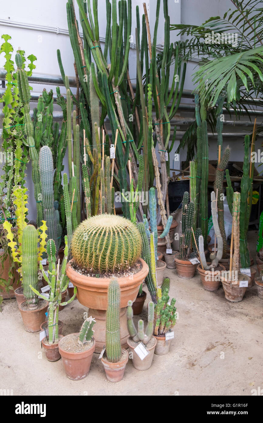 Botanical Gardens Florence Stock Photo - Alamy