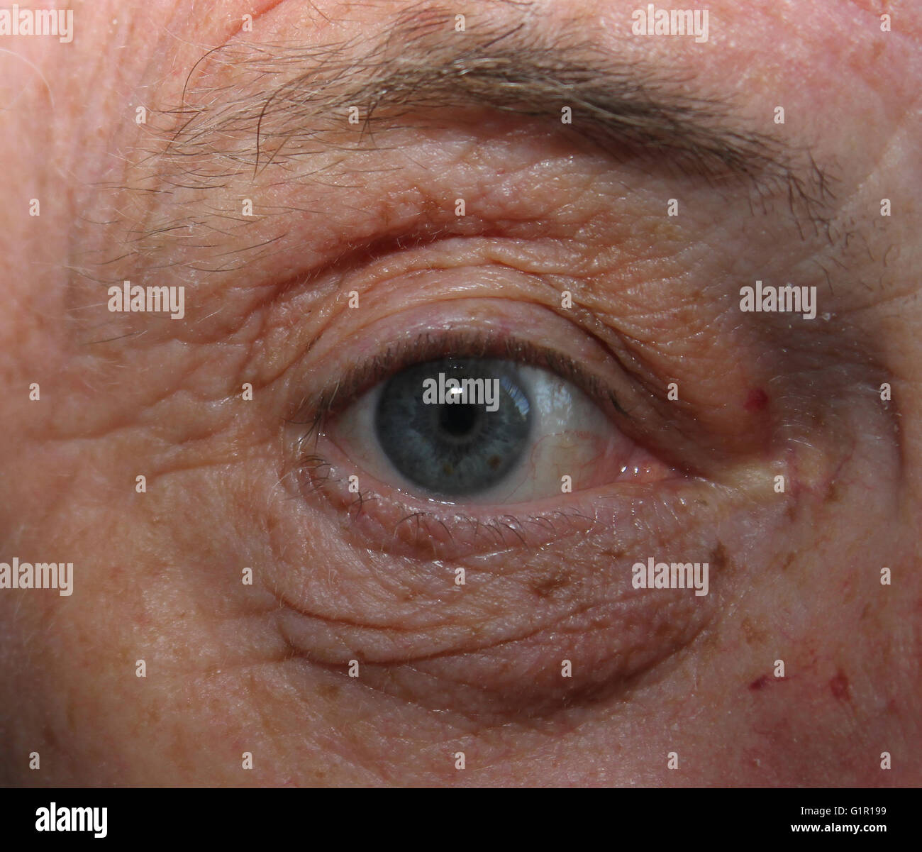 Paranoid eye hi-res stock photography and images - Alamy
