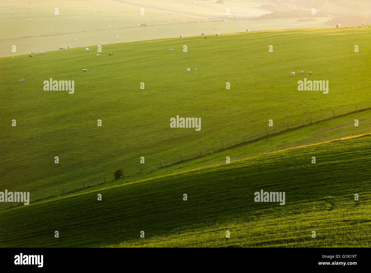 Spring evening on the South Downs, East Sussex, England Stock Photo - Alamy