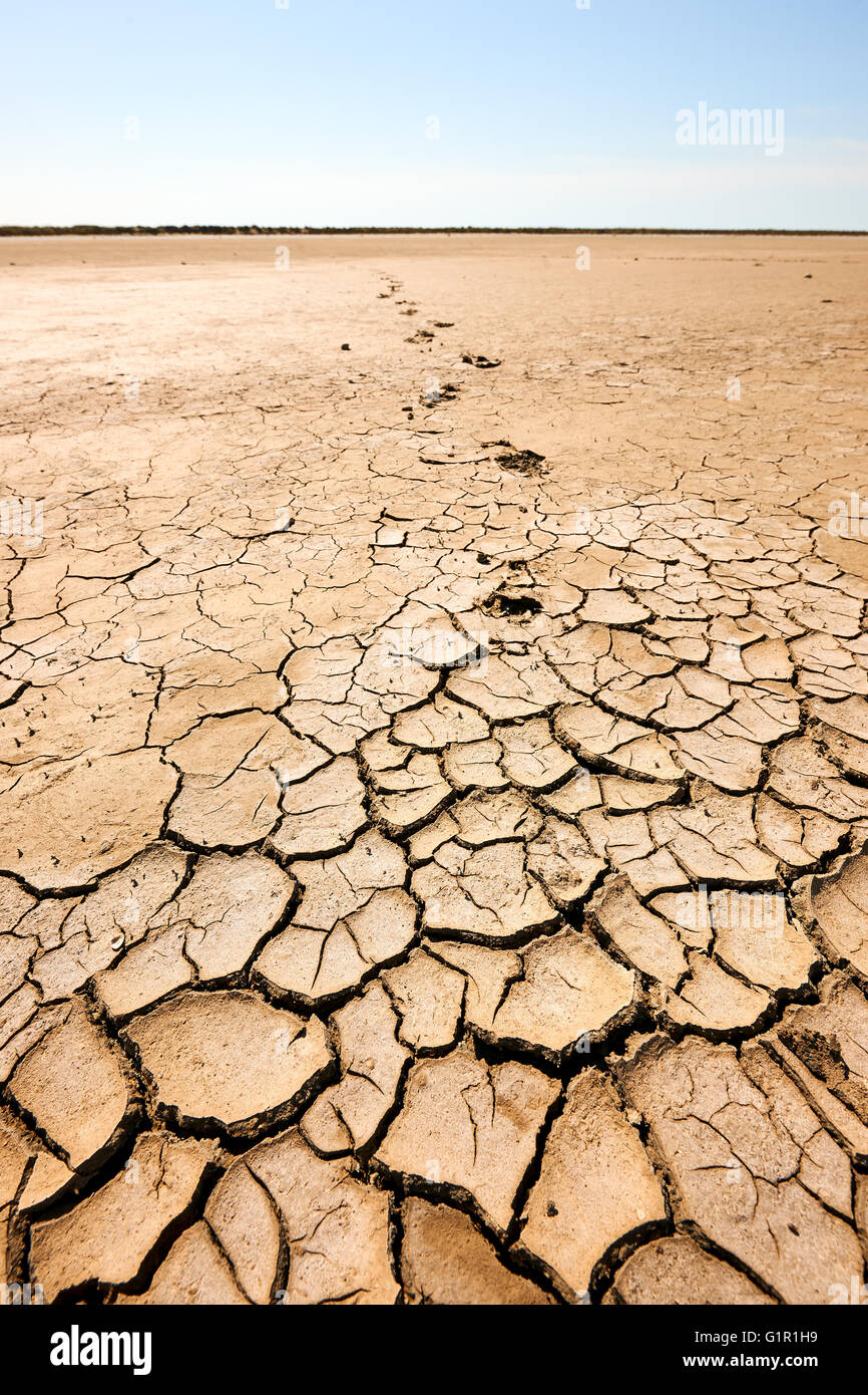 Earth and sand desert with footprints departing Stock Photo - Alamy