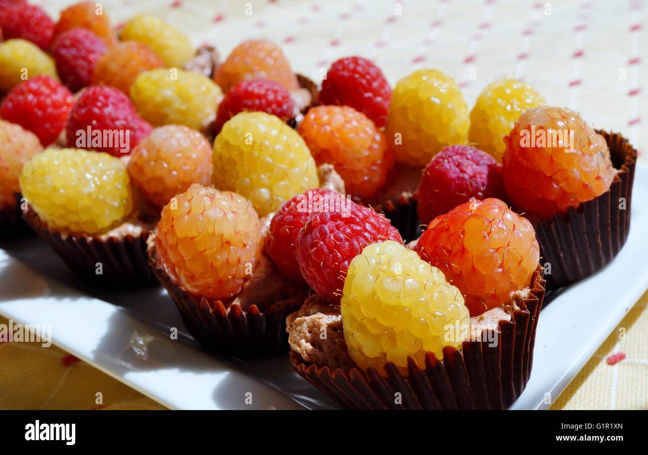 Chocolate tartlet shells filled with raspberries Stock Photo - Alamy