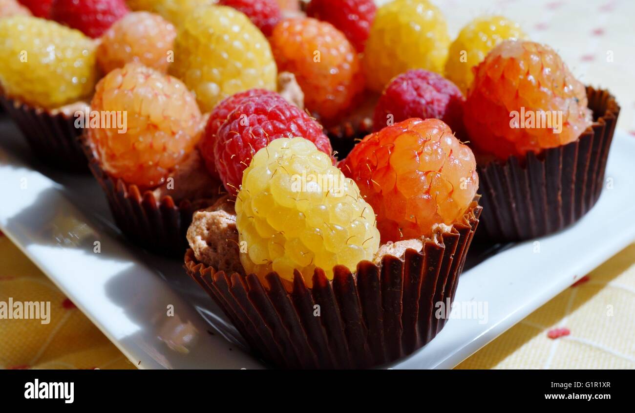 Chocolate tartlet shells filled with raspberries Stock Photo - Alamy