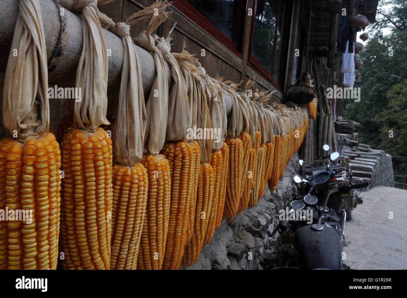 Agriculture china chinese drying hi-res stock photography and images ...