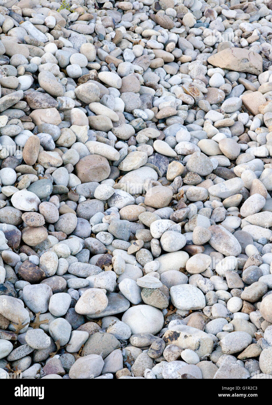 River stones on the bank of the Boise River, Idaho, 2016 Stock Photo ...