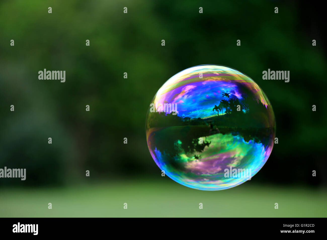 Colorful soap bubble floating in the tropical garden Stock Photo - Alamy