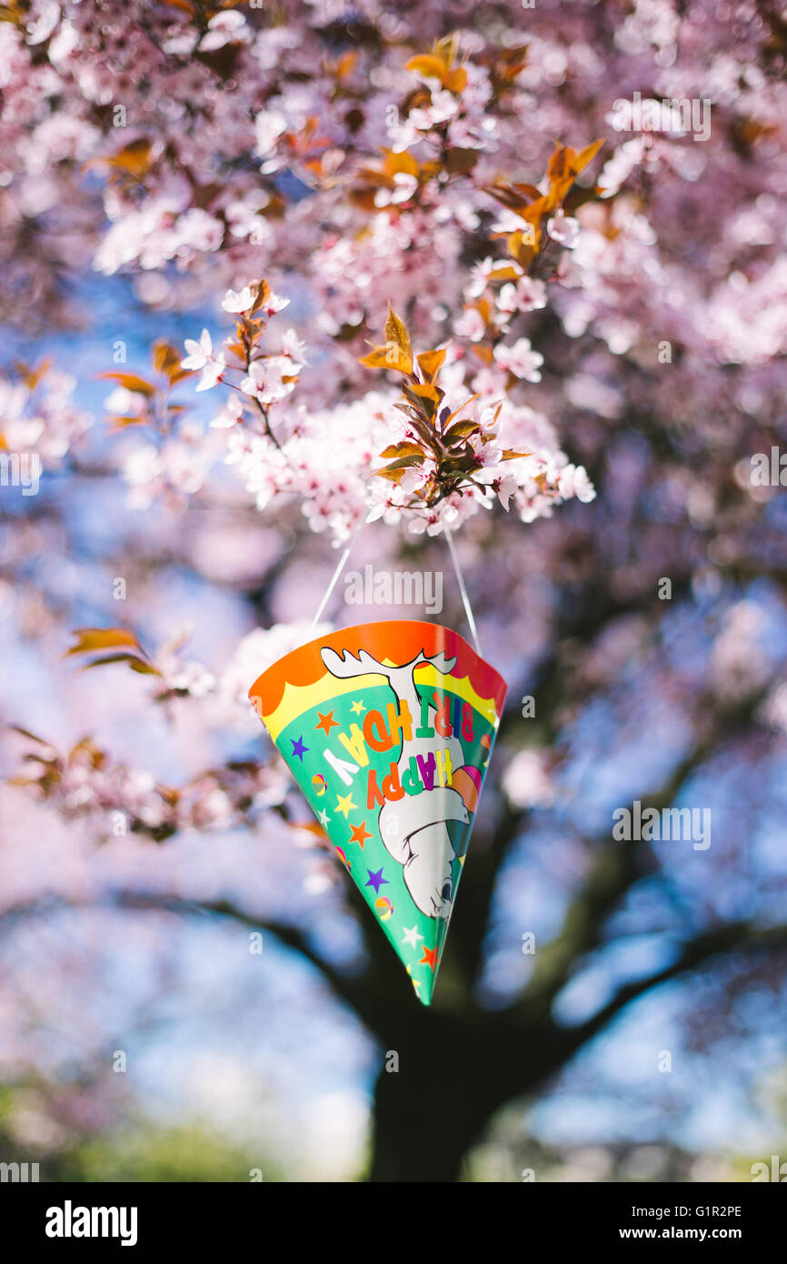 Happy birthday spring flowers hi-res stock photography and images - Alamy