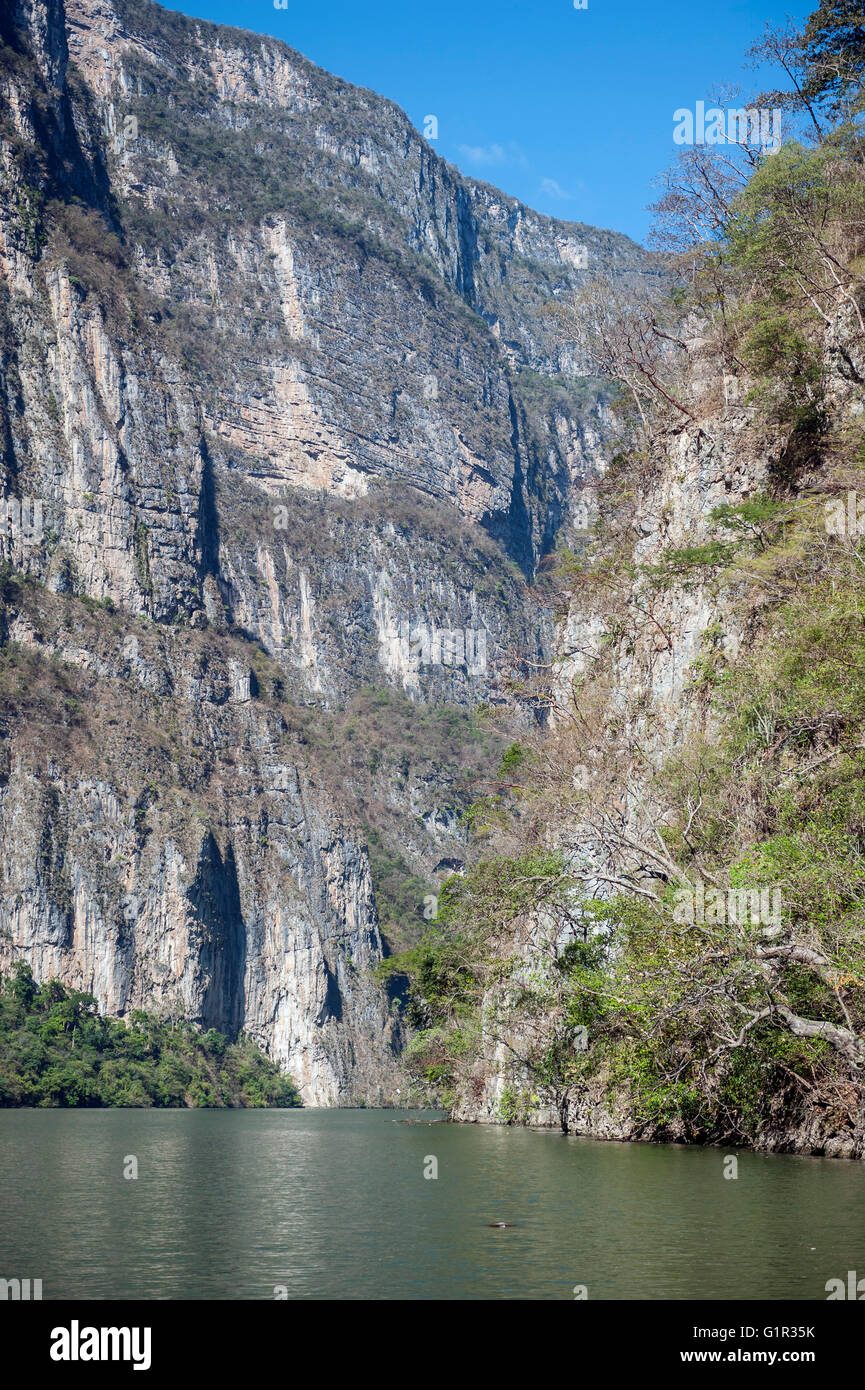 Sumidero canyon, Mexico Stock Photo - Alamy