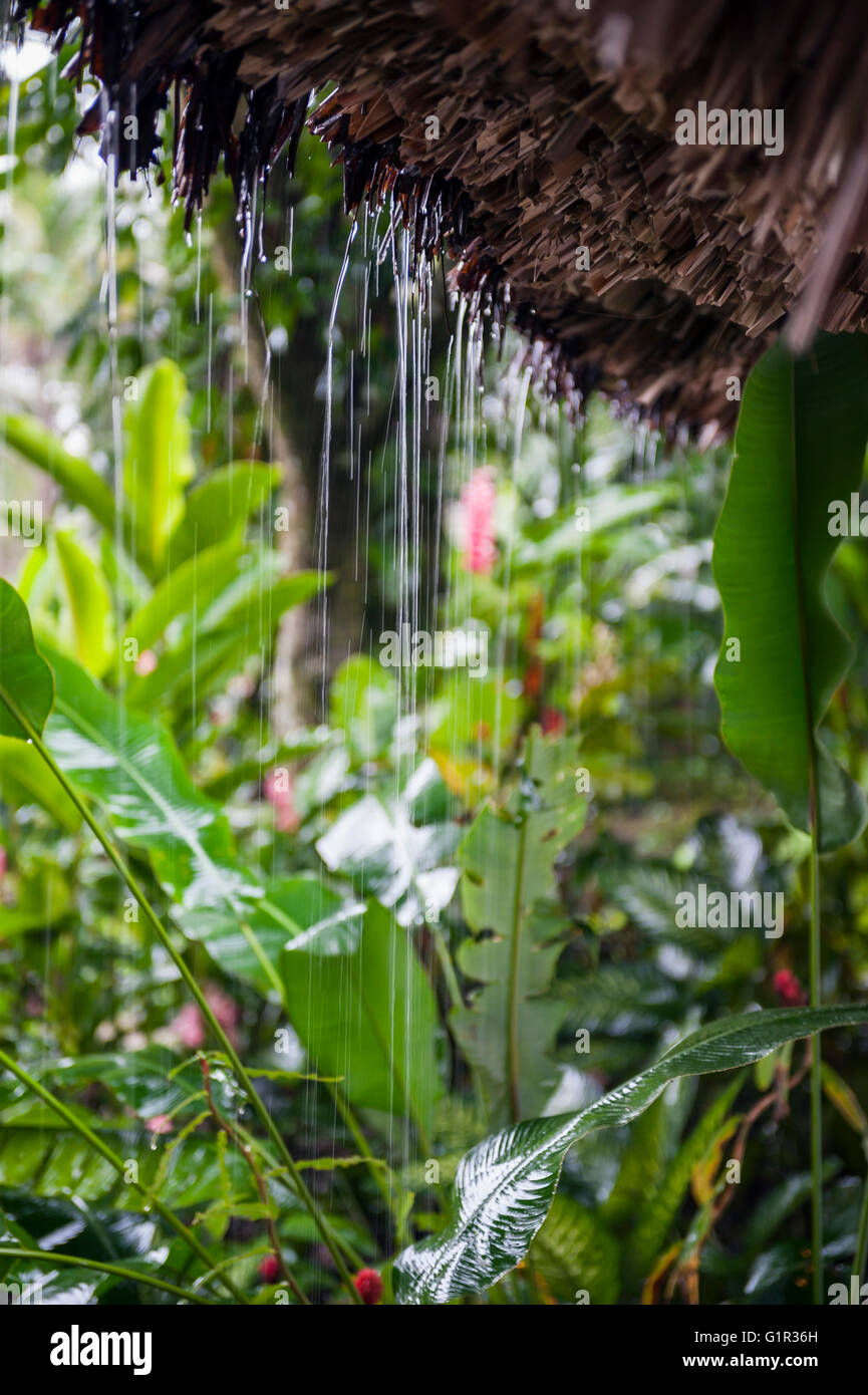 Rain pouring from roof Stock Photo - Alamy