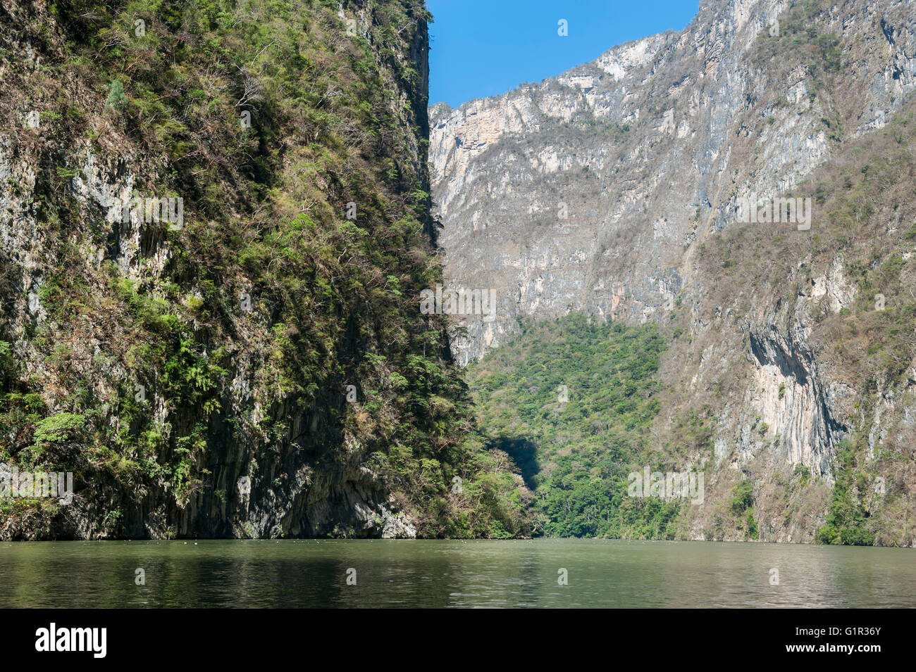 Sumidero canyon, Mexico Stock Photo - Alamy