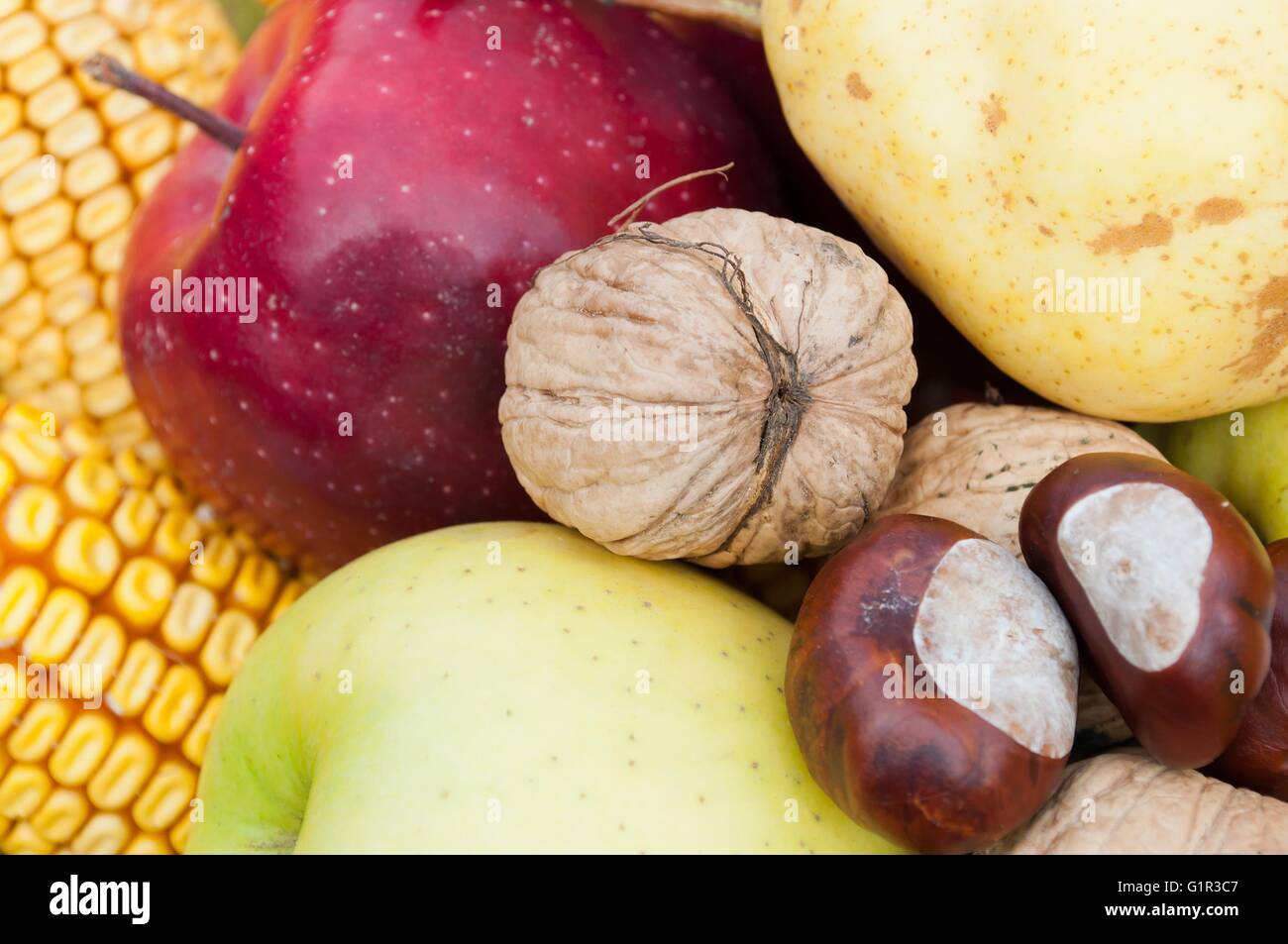 Detail of decorative composed colorful autumn fruits and vegetables ...