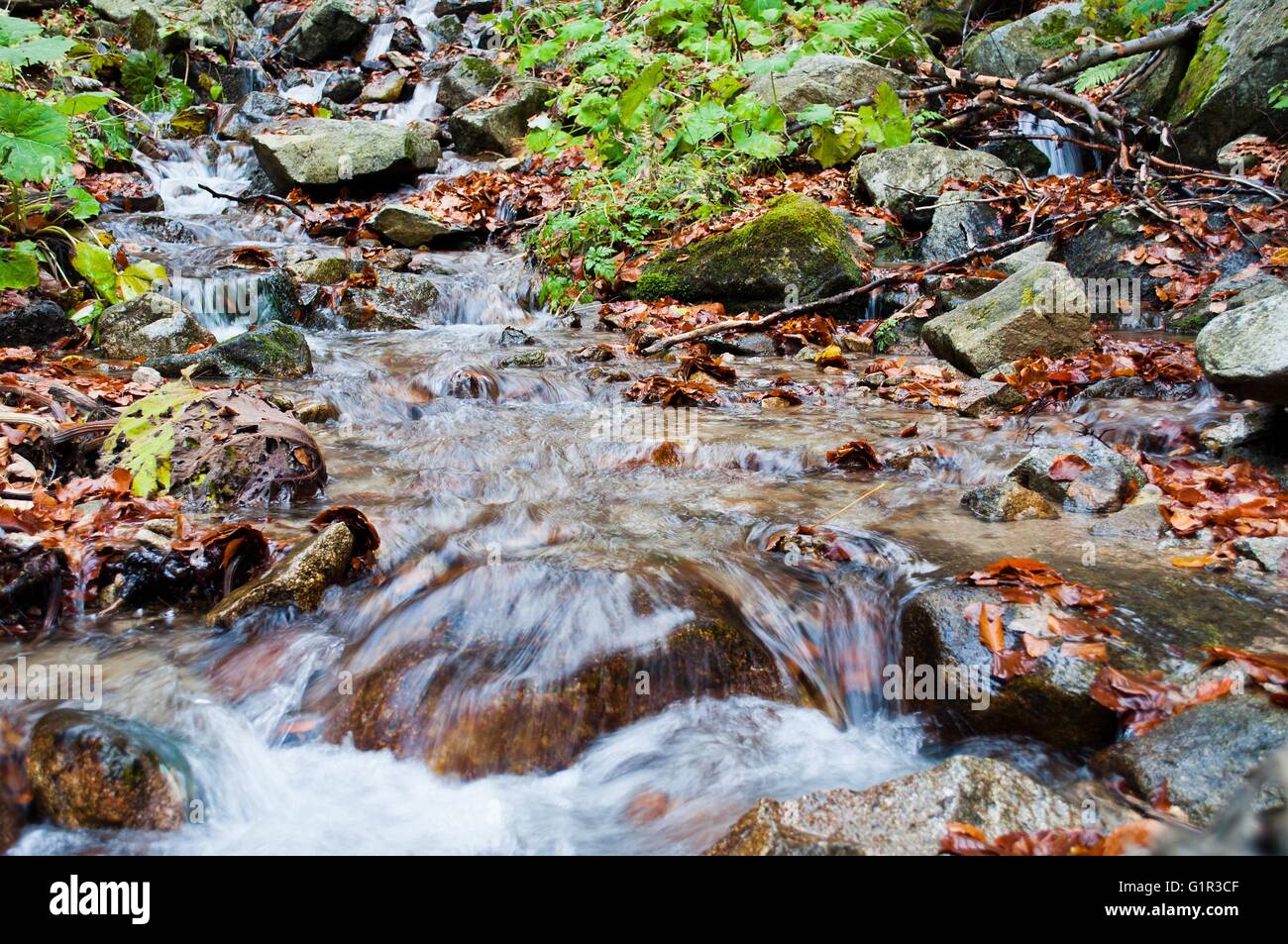 Creek rocks hi-res stock photography and images - Alamy