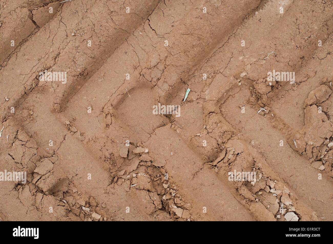 Tractor wheel tracks on the ground as background Stock Photo - Alamy