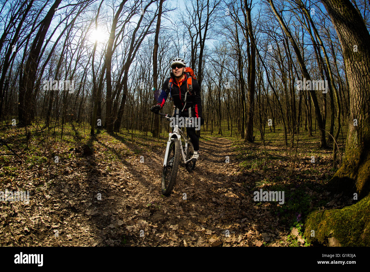 Rider in action at Freestyle Mountain Bike Session Stock Photo - Alamy
