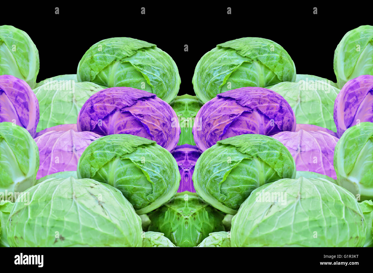 Group many color Cabbages on black background Stock Photo - Alamy
