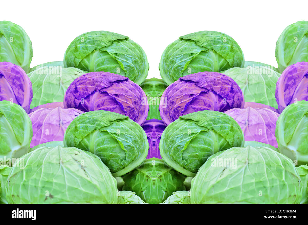 Group many color Cabbages on white background Stock Photo - Alamy