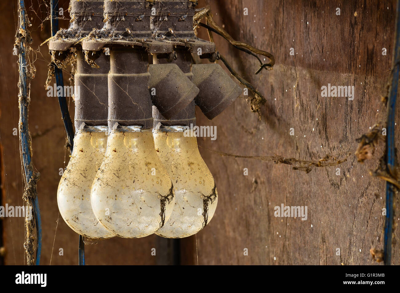 group old light bulb on light sun set Stock Photo - Alamy