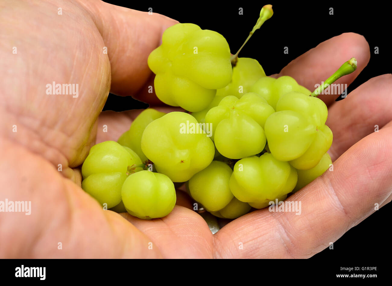 Star gooseberry on hand holding in black Stock Photo - Alamy