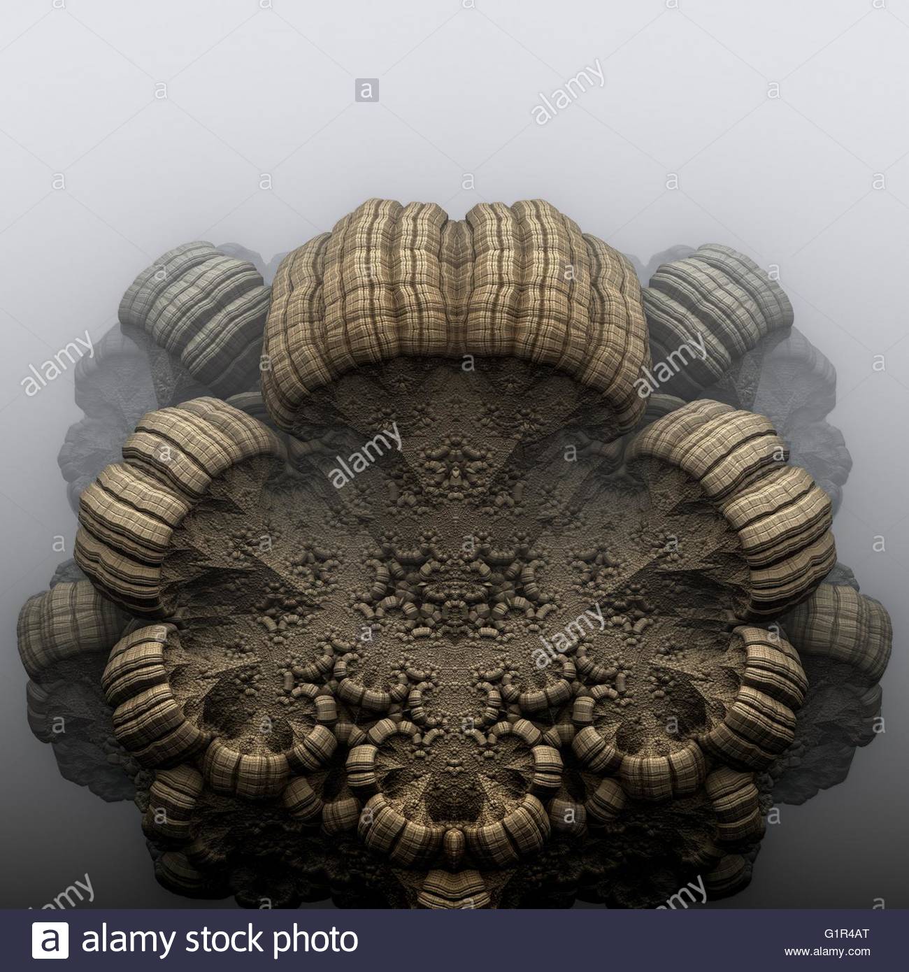Fractals Patterns Symmetry High Resolution Stock Photography and Images ...