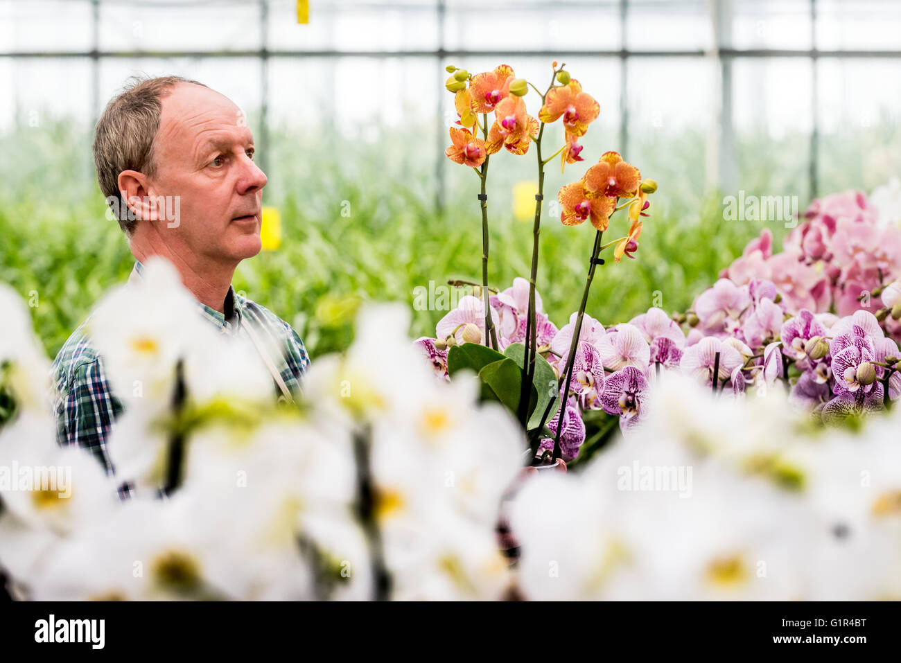 Mcbean's orchids hi-res stock photography and images - Alamy