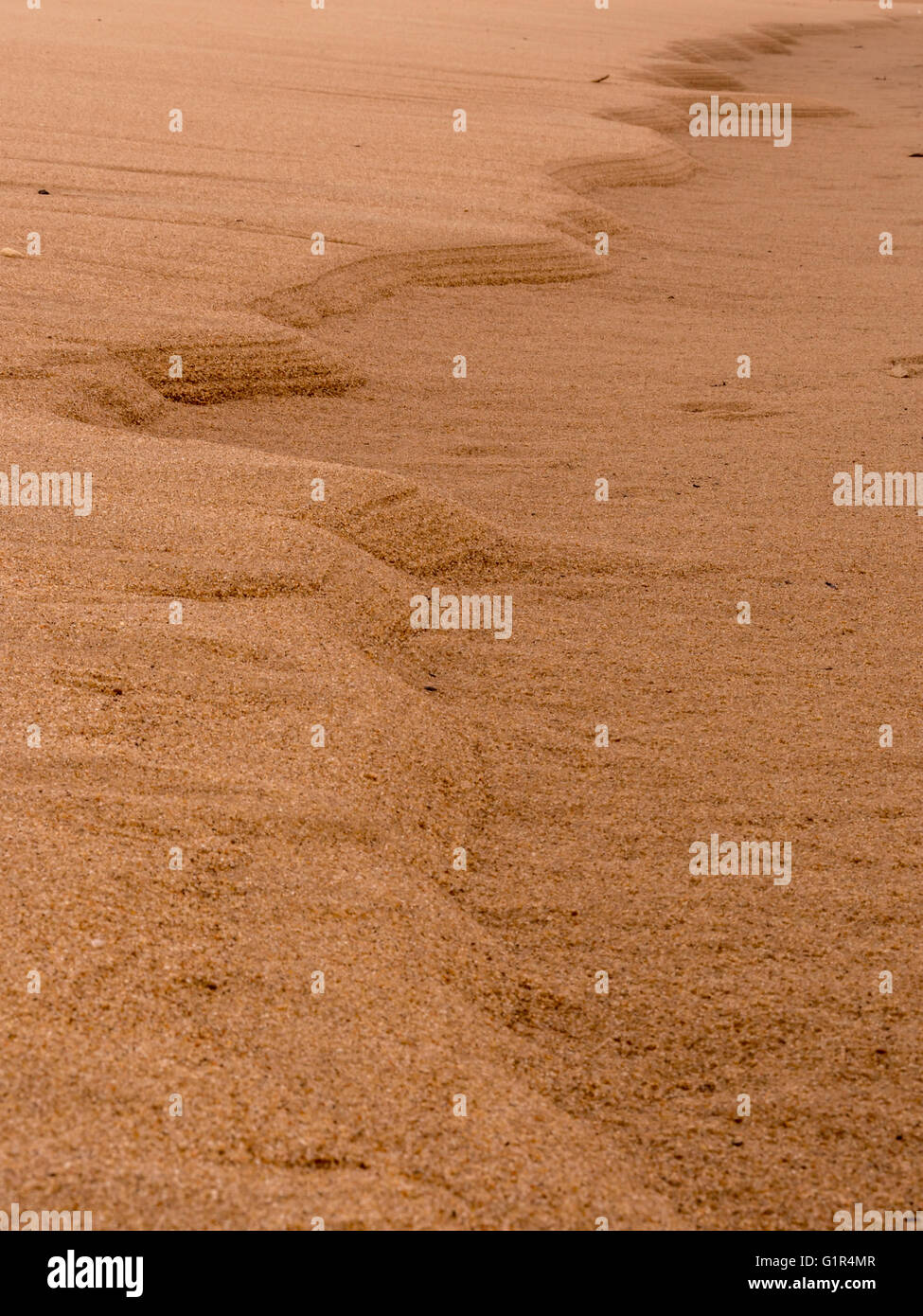 close up view beach sand background, nature Stock Photo - Alamy