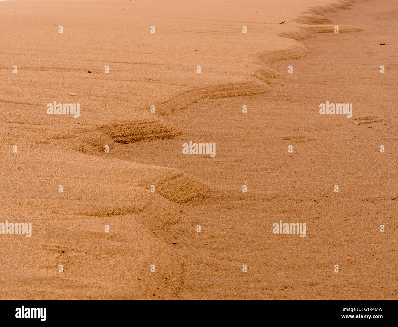 close up view beach sand background, nature Stock Photo - Alamy