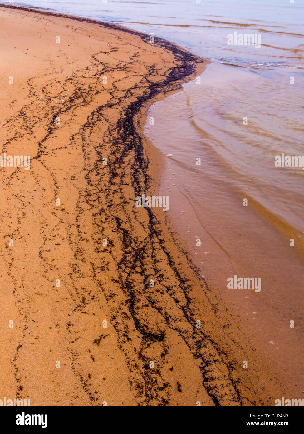 close up view beach sand background, nature Stock Photo - Alamy