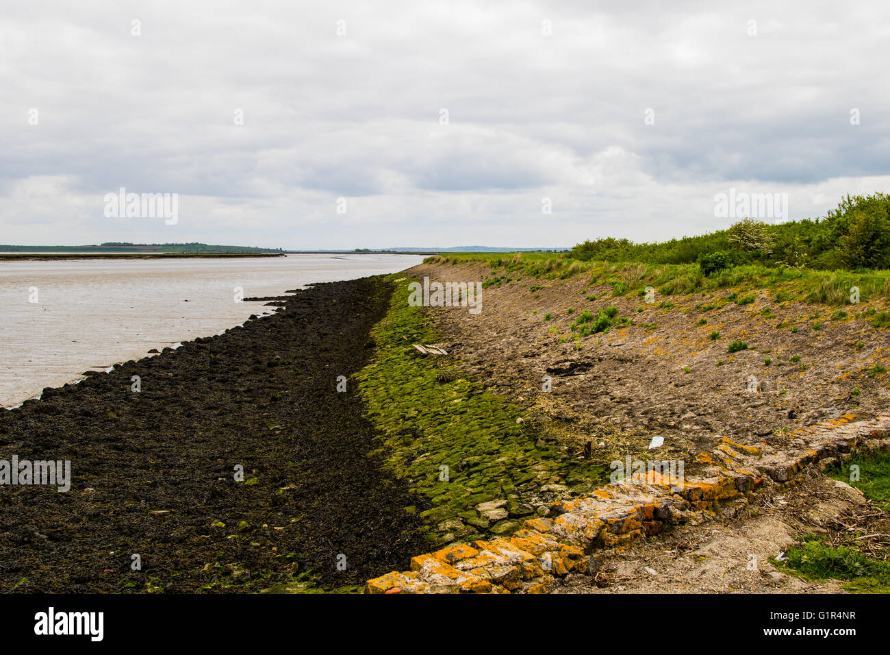 Tidal river flat hi-res stock photography and images - Alamy