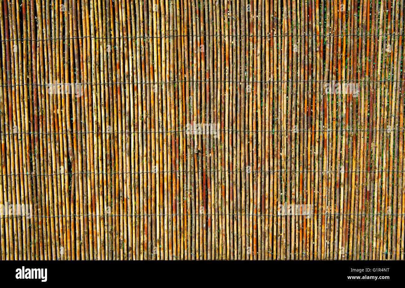 Beautiful screen backgrounds hi-res stock photography and images - Alamy