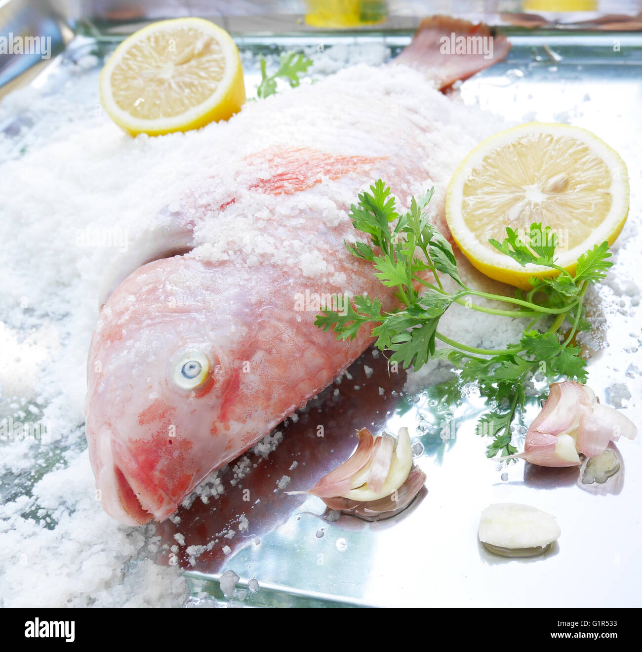 Rare fish hi-res stock photography and images - Alamy