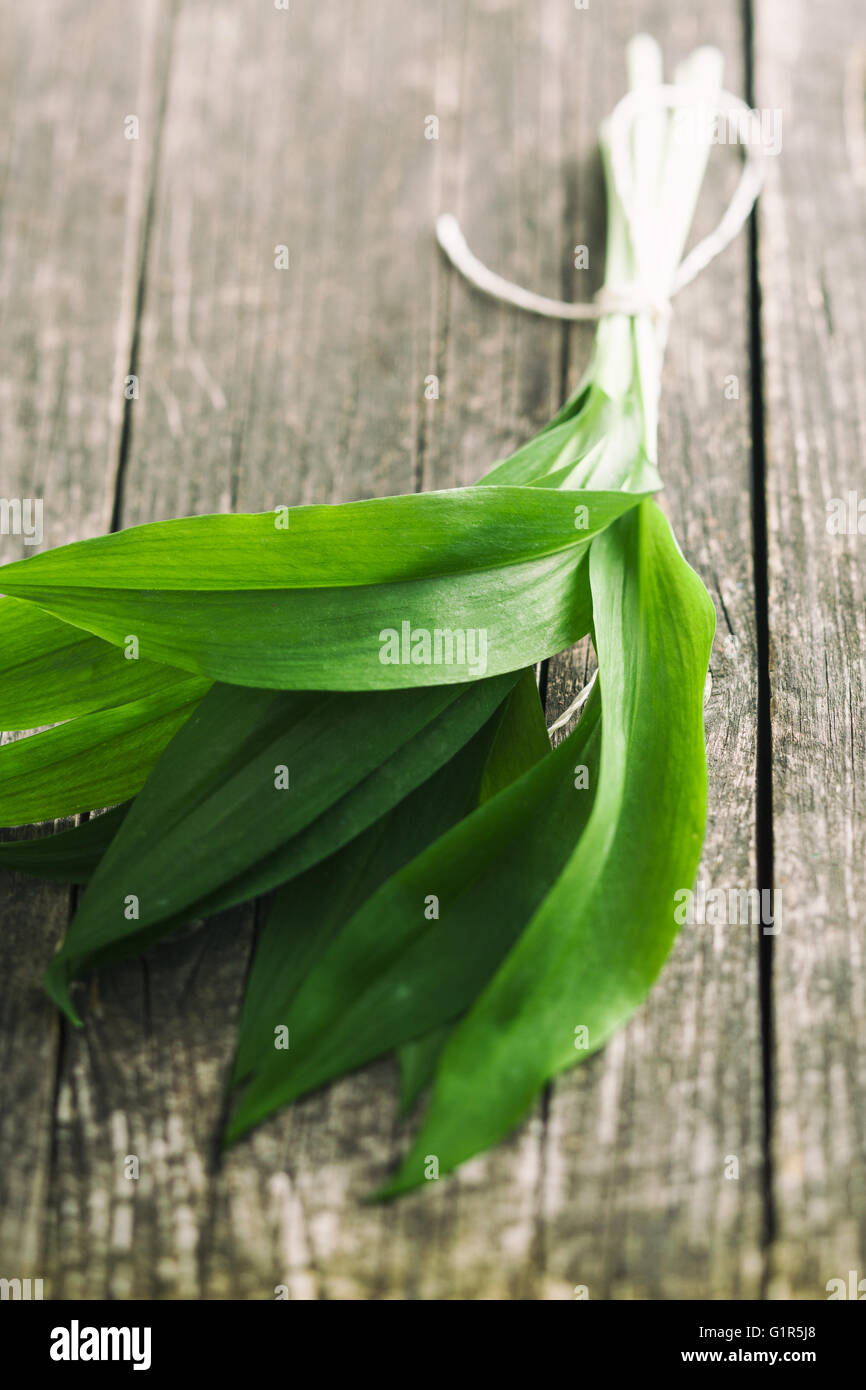Fresh ramsons leaves. Wild garlic leaves. Healthy vegetable Stock Photo ...