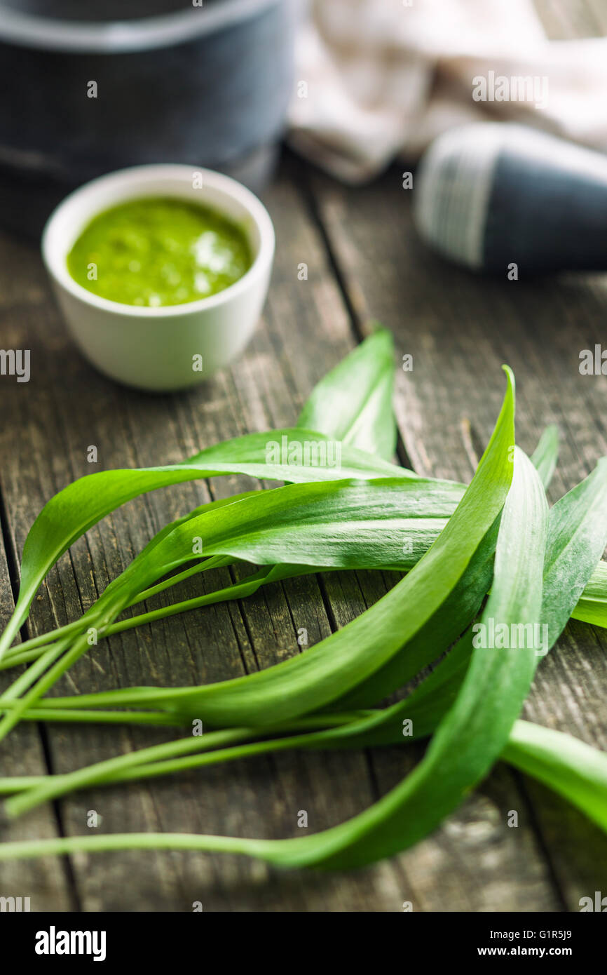 Fresh ramsons leaves. Wild garlic leaves. Healthy vegetable Stock Photo ...