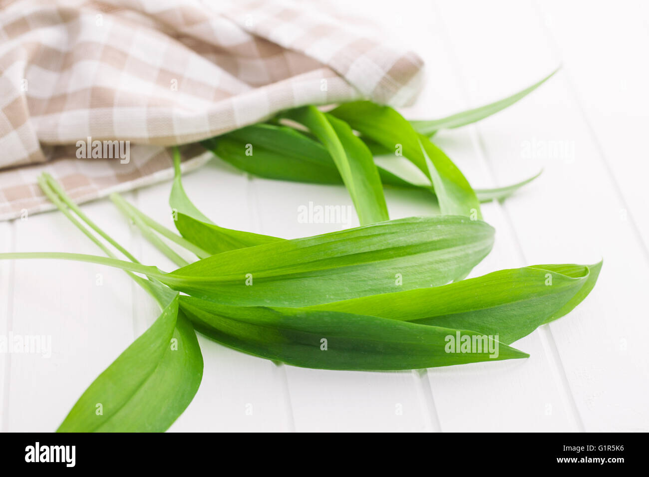 Fresh ramsons leaves. Wild garlic leaves. Healthy vegetable Stock Photo ...
