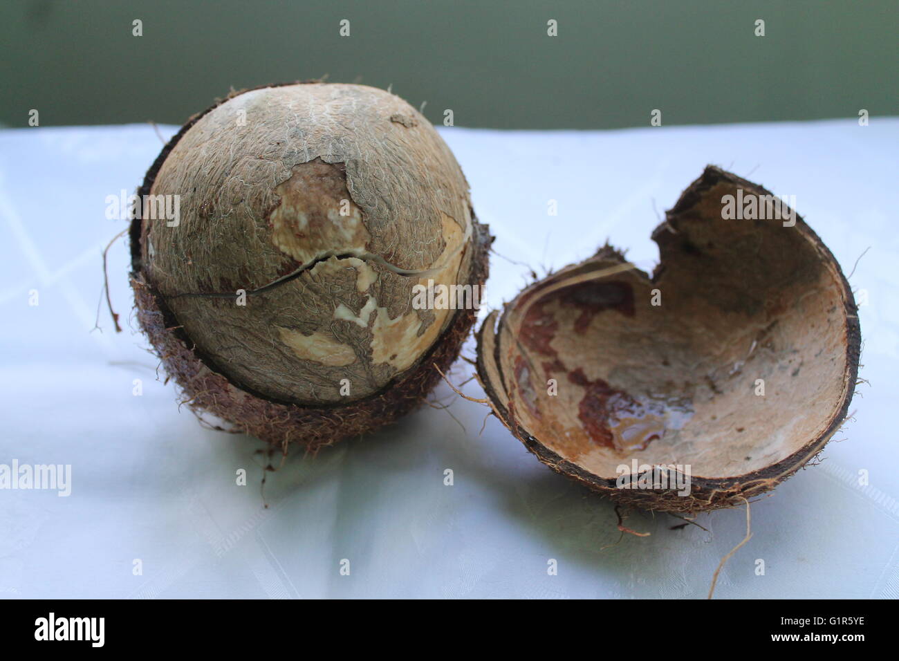 sweet pulp ripe coconut clean of shell prepare to cook pie Stock Photo ...