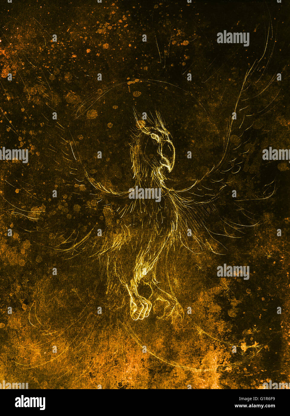 drawing of phoenix. computer collage and color structure Stock Photo ...