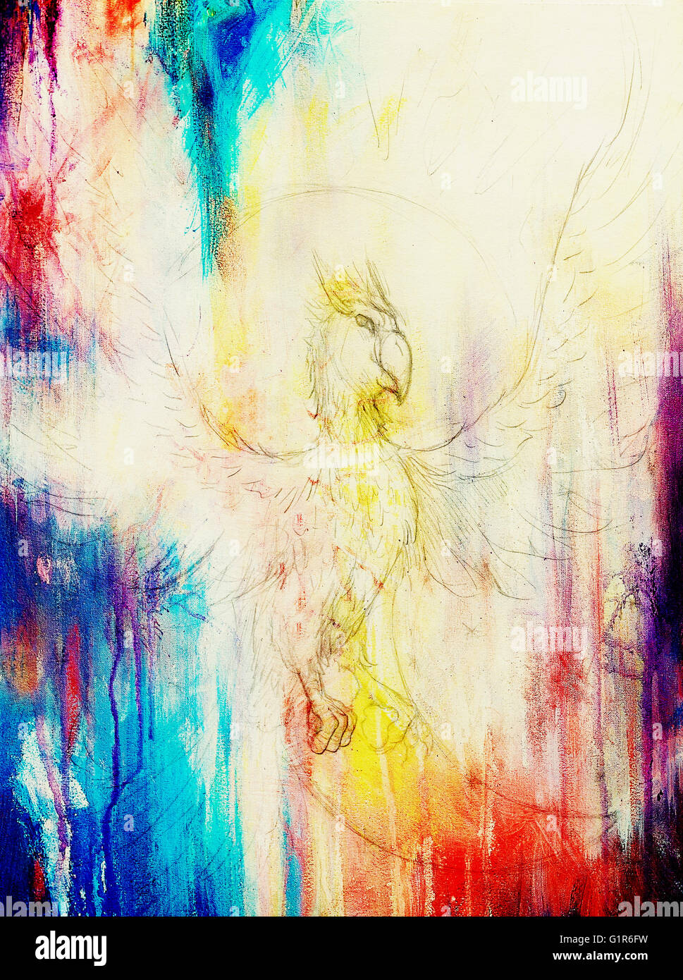 Phoenix Drawing In Color