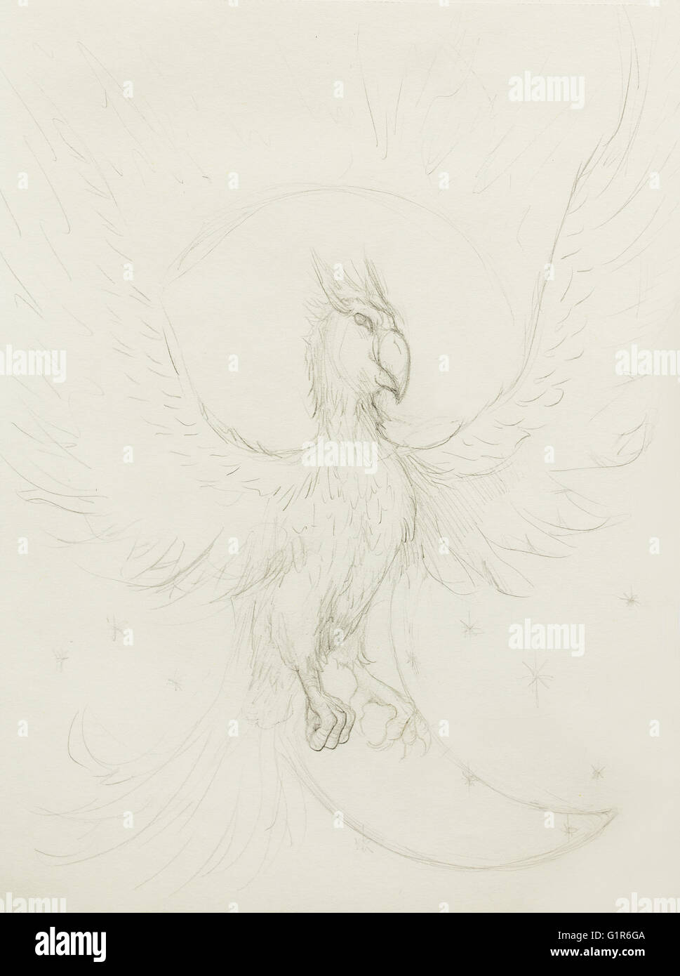 drawing of phoenix, hand drawing on old paper Stock Photo - Alamy