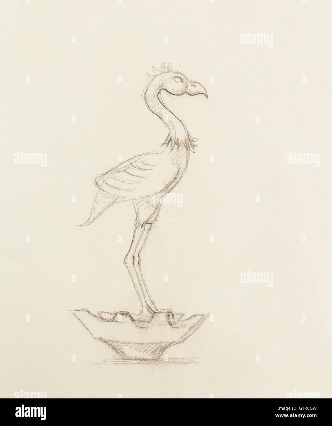 flamingo illustration. original hand drawing on paper Stock Photo - Alamy